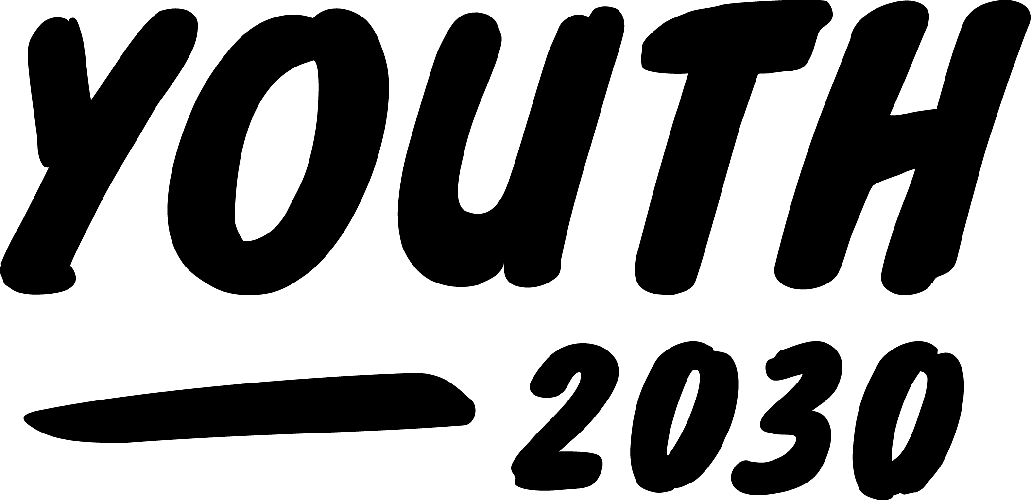 Stenbecks Stiftelse – Youth 2030 Movement